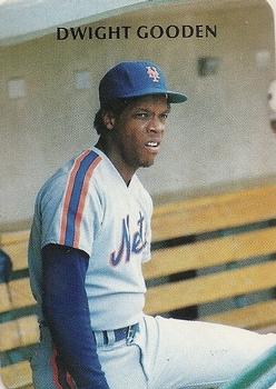 1987 Broder/Rookies/CB/Press Box/Choice 1980's/Indiana Blue Sox RARE ...