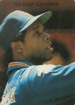 1987 Broder/Rookies/CB/Press Box/Choice 1980's/Indiana Blue Sox RARE ...